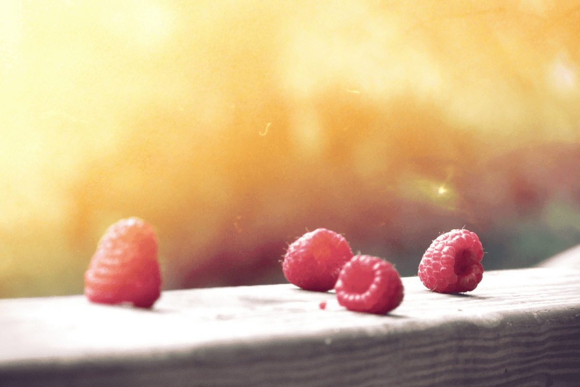 Color Combination Sun Dappled Raspberry - Canva's Design Wiki