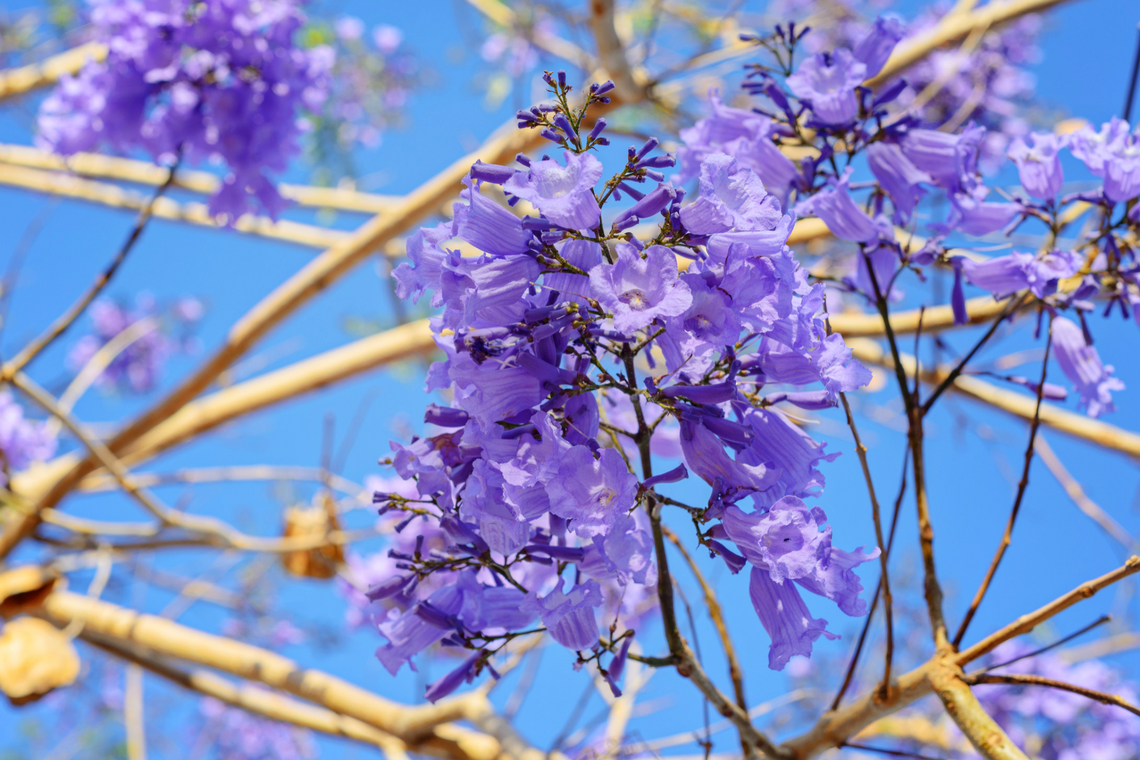 Color Combination Spring Daylight - Canva's Design Wiki