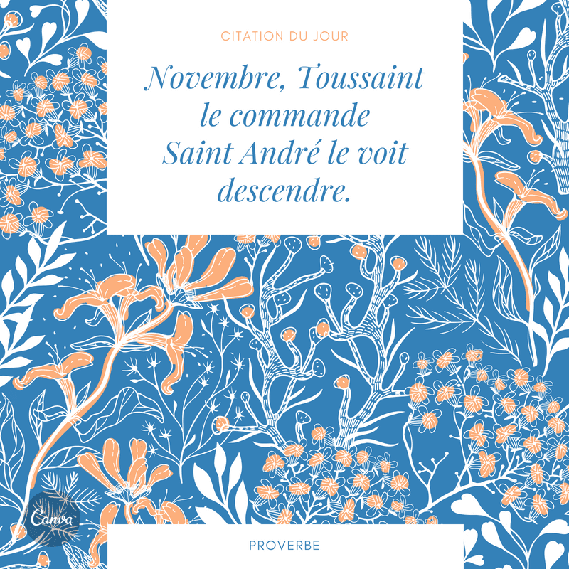 Le Dicton Complet 40 Reasons We Love You Poster With Pictures