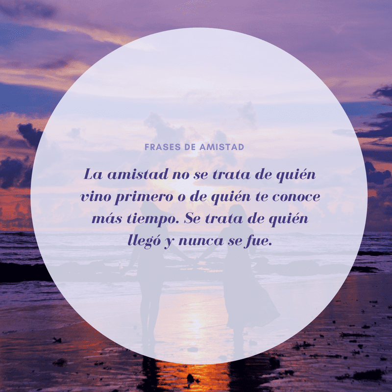 Que Es La Amistad Frases Reflexiones Sobre El Amor Y La Amistad