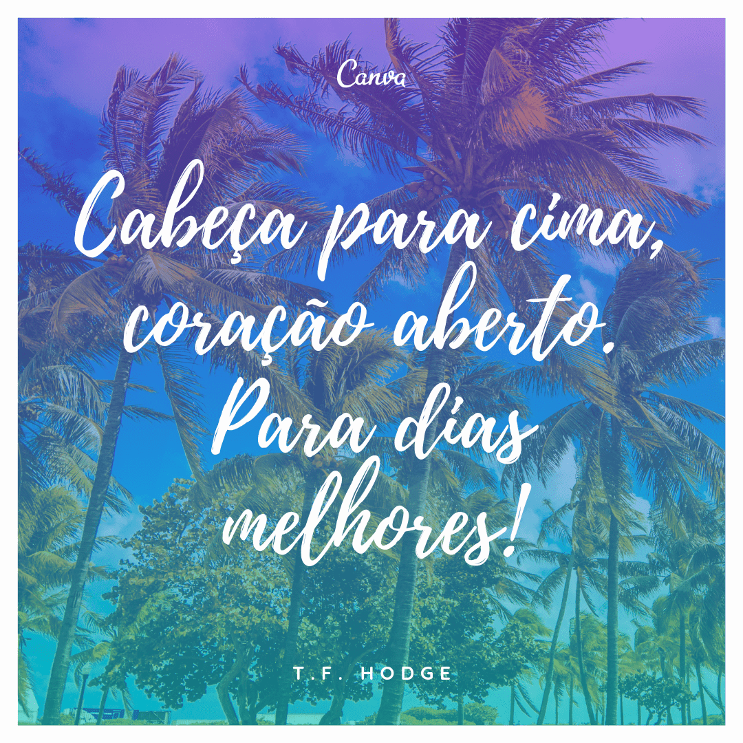 Mensagem de Otimismo | Lindas Mensagens e Imagens - Canva