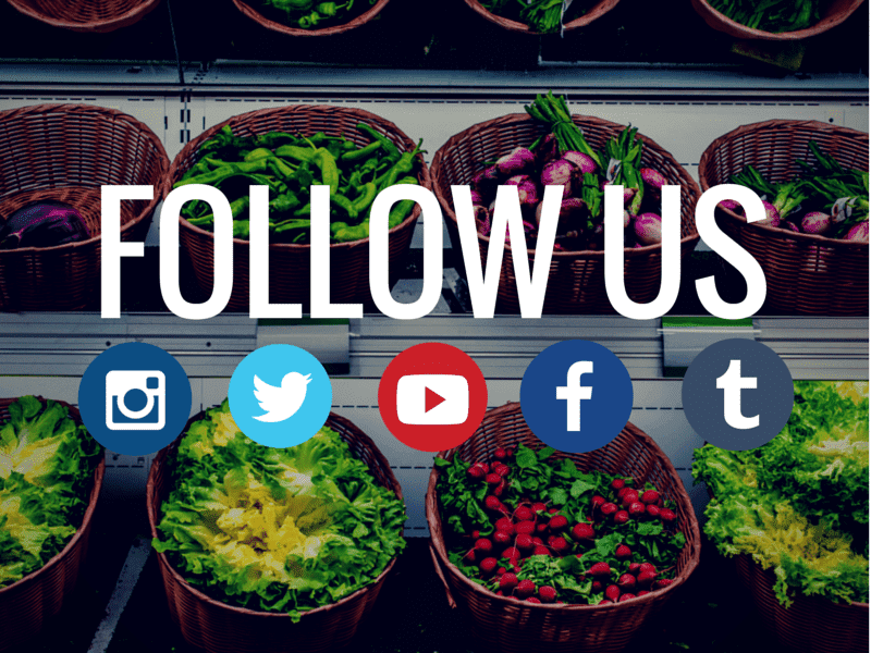 Free Icon Download: Tải và sử dụng các icon miễn phí từ Canva