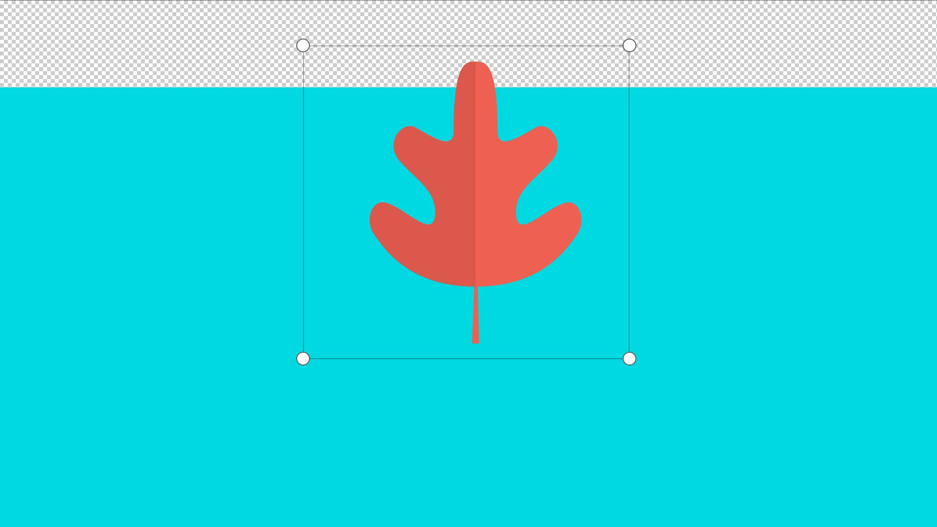 Top 88 Imagen Canva Transparent Background Thpthoangvanthu edu vn