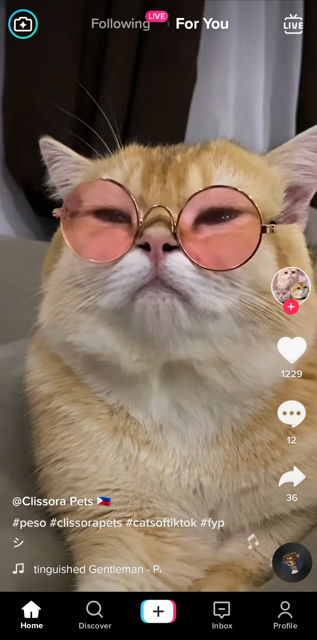 How to use TikTok — Your Ultimate Guide | Canva