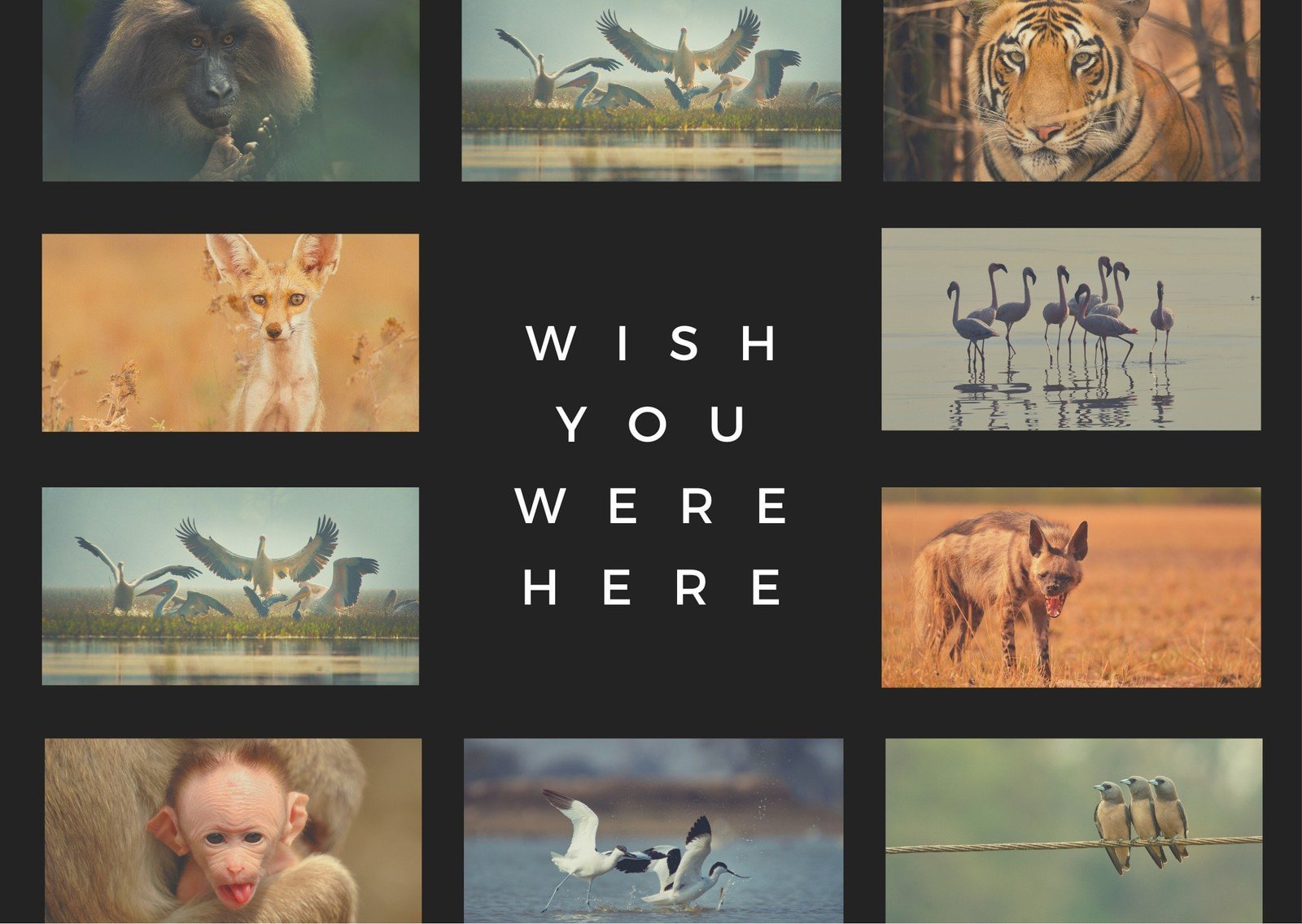 Create Your Own Photo Postcard - Canva