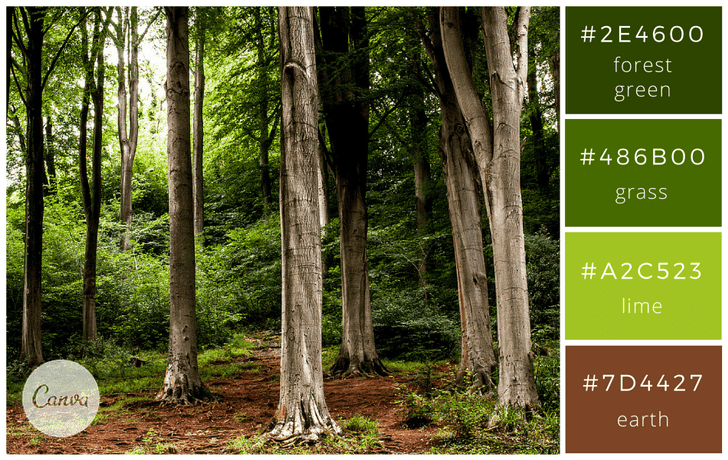 100 Kombinasi Warna Brilian dan Cara Menggunakan pada Desain - Canva