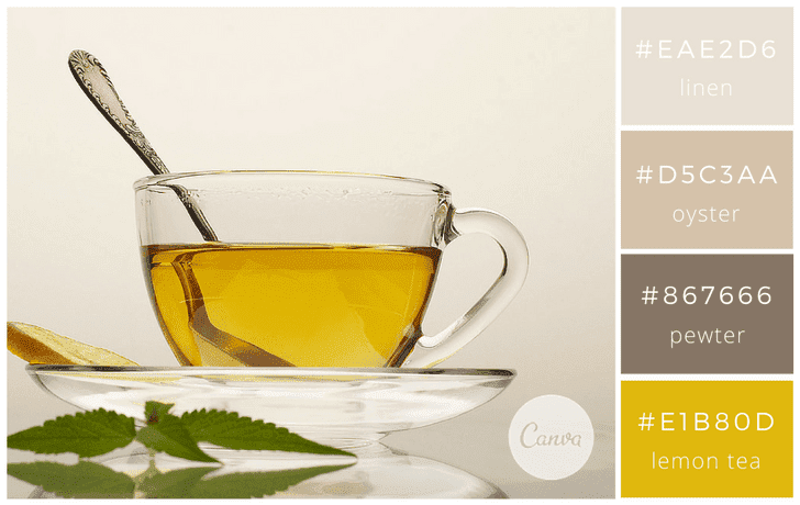 100 Kombinasi Warna Brilian dan Cara Menggunakan pada Desain - Canva