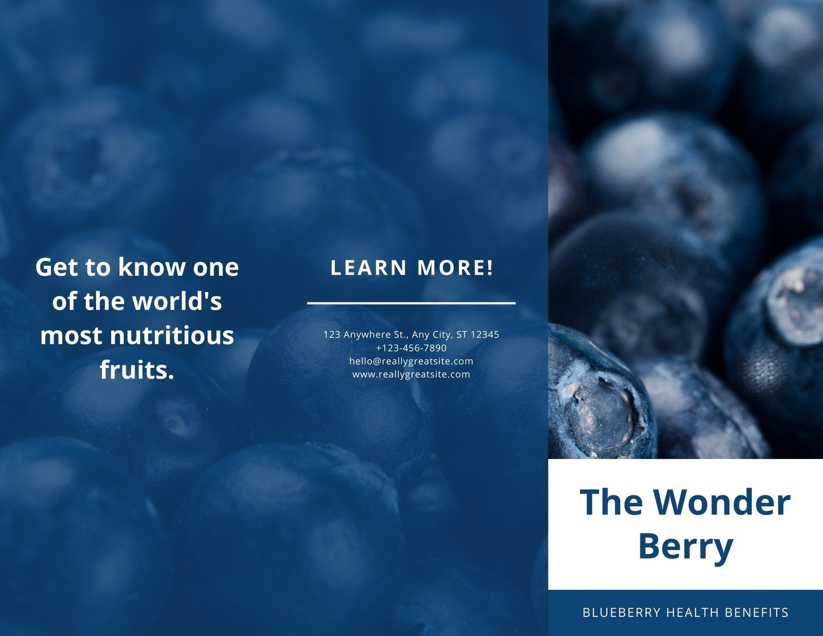 Free Pamphlet Maker - Create Pamphlet Designs Online | Canva