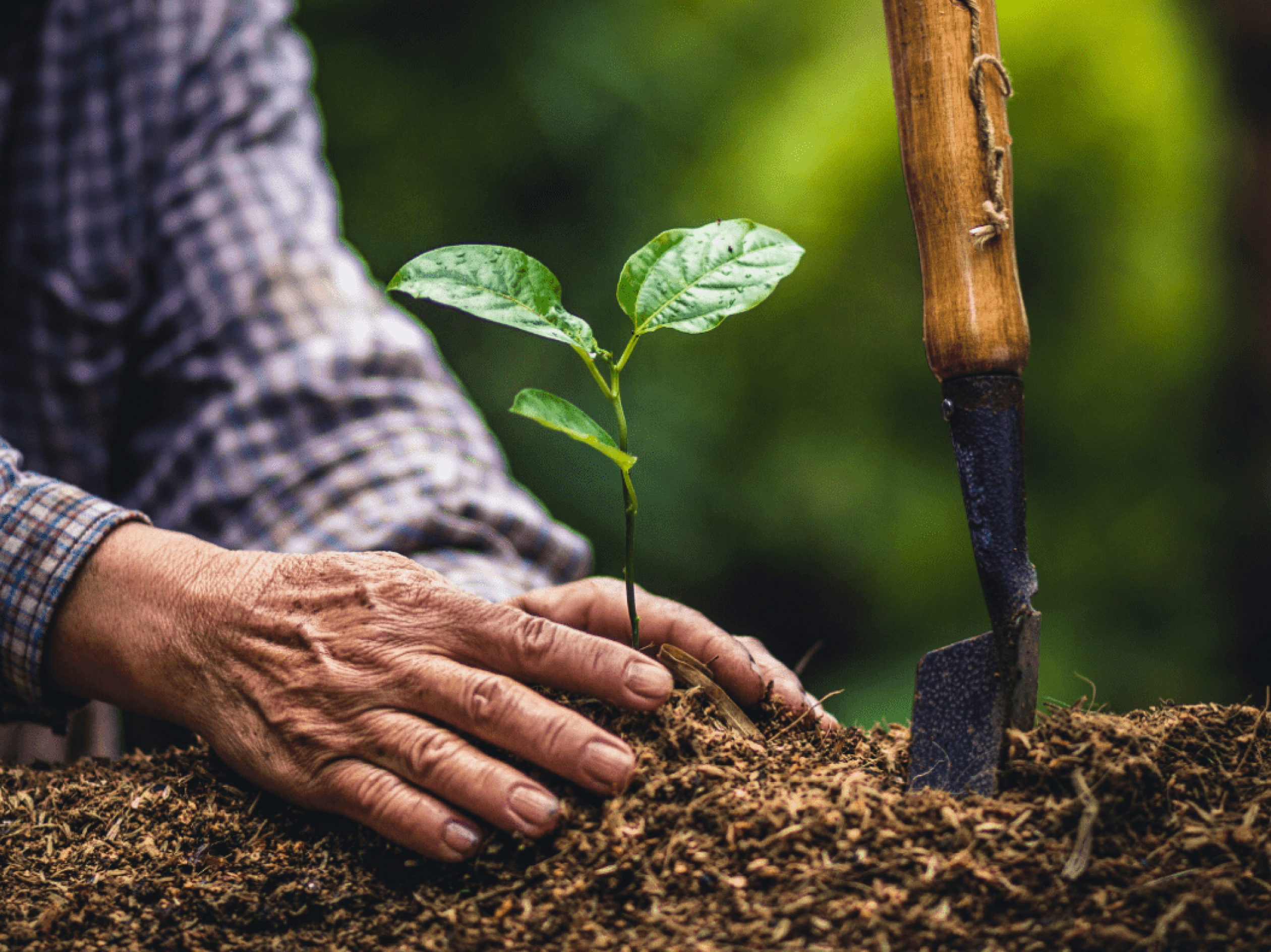 Kemampanan Canva | Satu Cetakan, Satu Pokok
