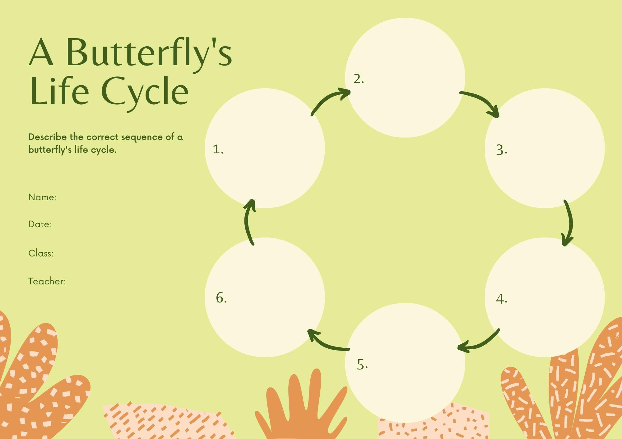 Free Graphic Organizer Maker Online (Free Examples) | Canva