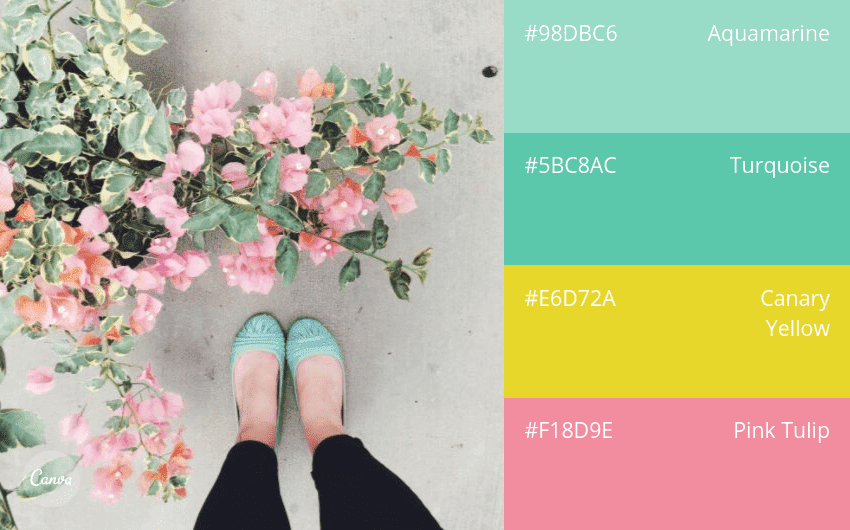 15 Canva Color Wheel IshmaelSamsor