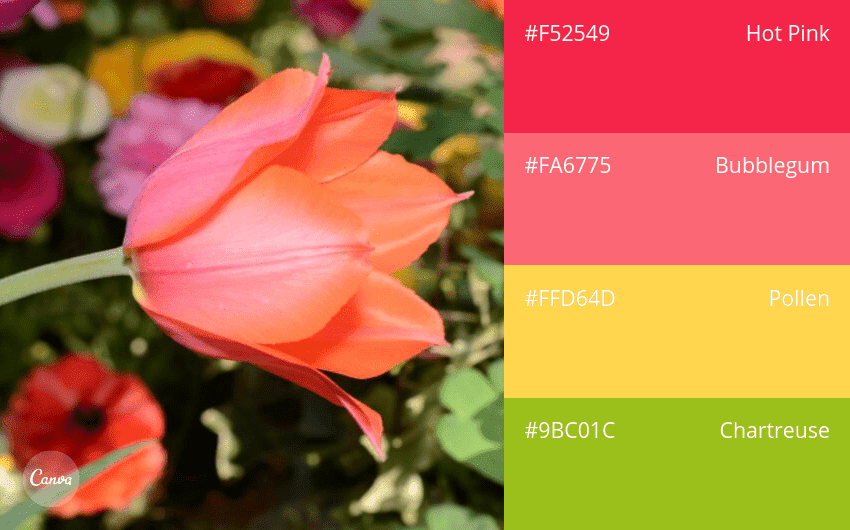 15 Canva Color Wheel IshmaelSamsor