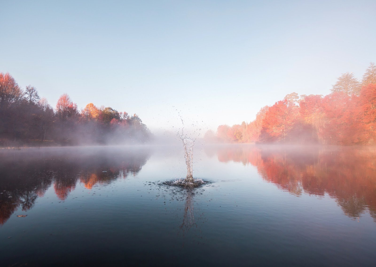 Photography as therapy: Why taking photos can actually improve your ...
