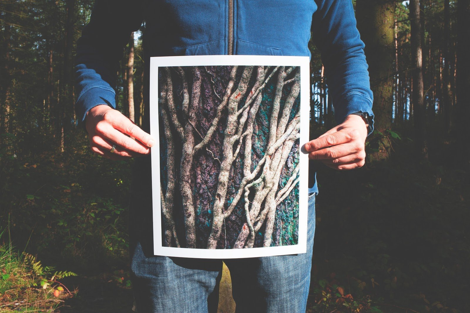 Photography as therapy: Why taking photos can actually improve your ...