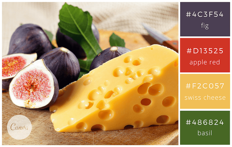 100 combinaciones de colores y cómo aplicarlas a tus diseños