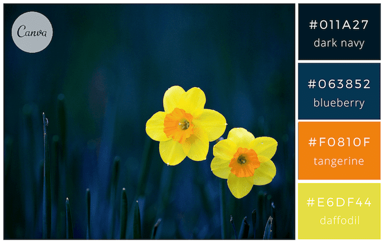 100 combinaciones de colores y cómo aplicarlas a tus diseños