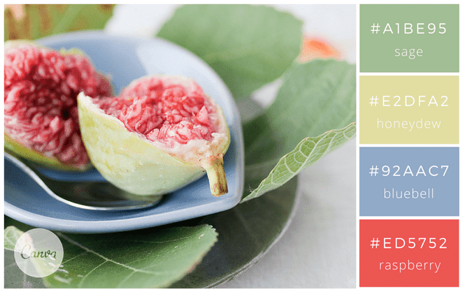 L'association de couleurs expliquée en 20 exemples - Canva