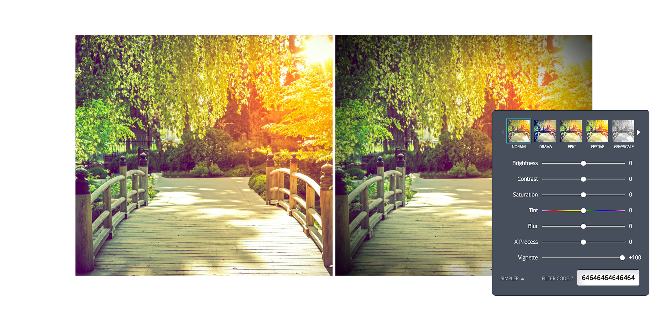 How to use photo filters to enhance your images