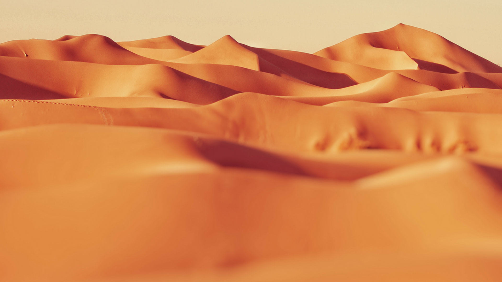 Chasing landscapes: One adventurous photographer’s easy tips to make ...