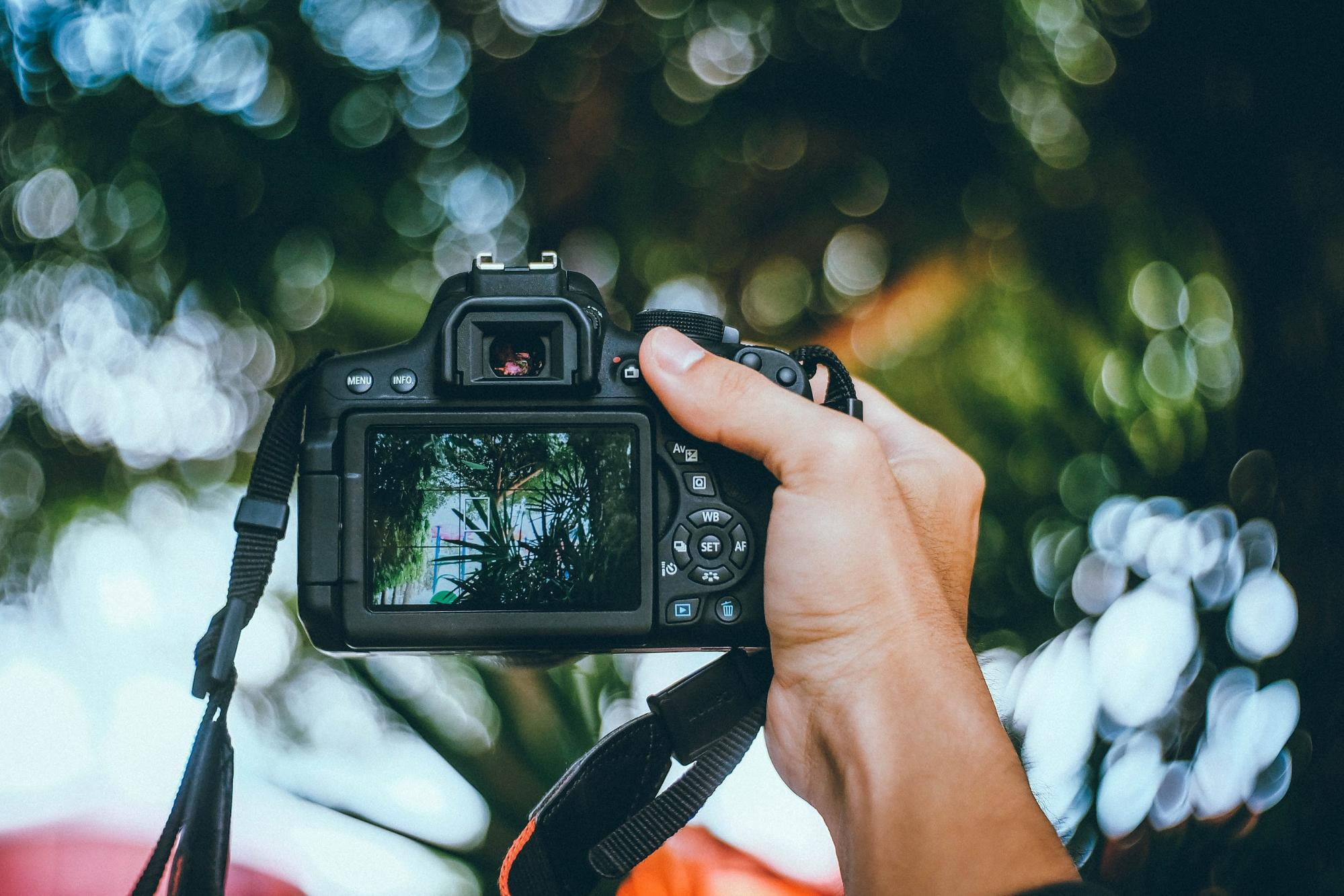 7 Ways To Achieve A Beautiful Bokeh Effect In Your Photos with 