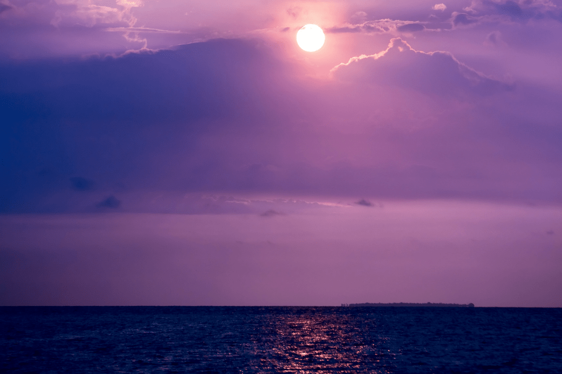 Color Combination Morning Sun - Canva's Design Wiki