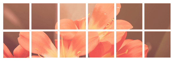 Tumblr size guide - Canva's Design Wiki