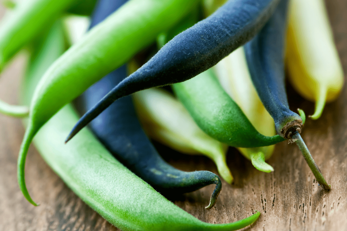 Color Combination Peas in Pods - Canva's Design Wiki