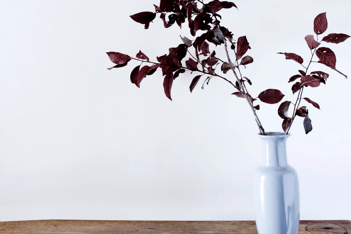 Color Combination Autumn Display - Canva's Design Wiki