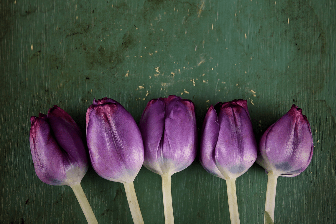 Color Combination Somber Spring - Canva's Design Wiki