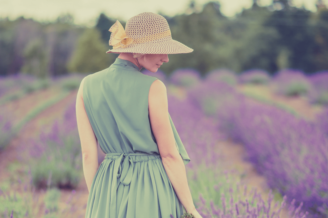 Color Combination Flower Picking - Canva's Design Wiki