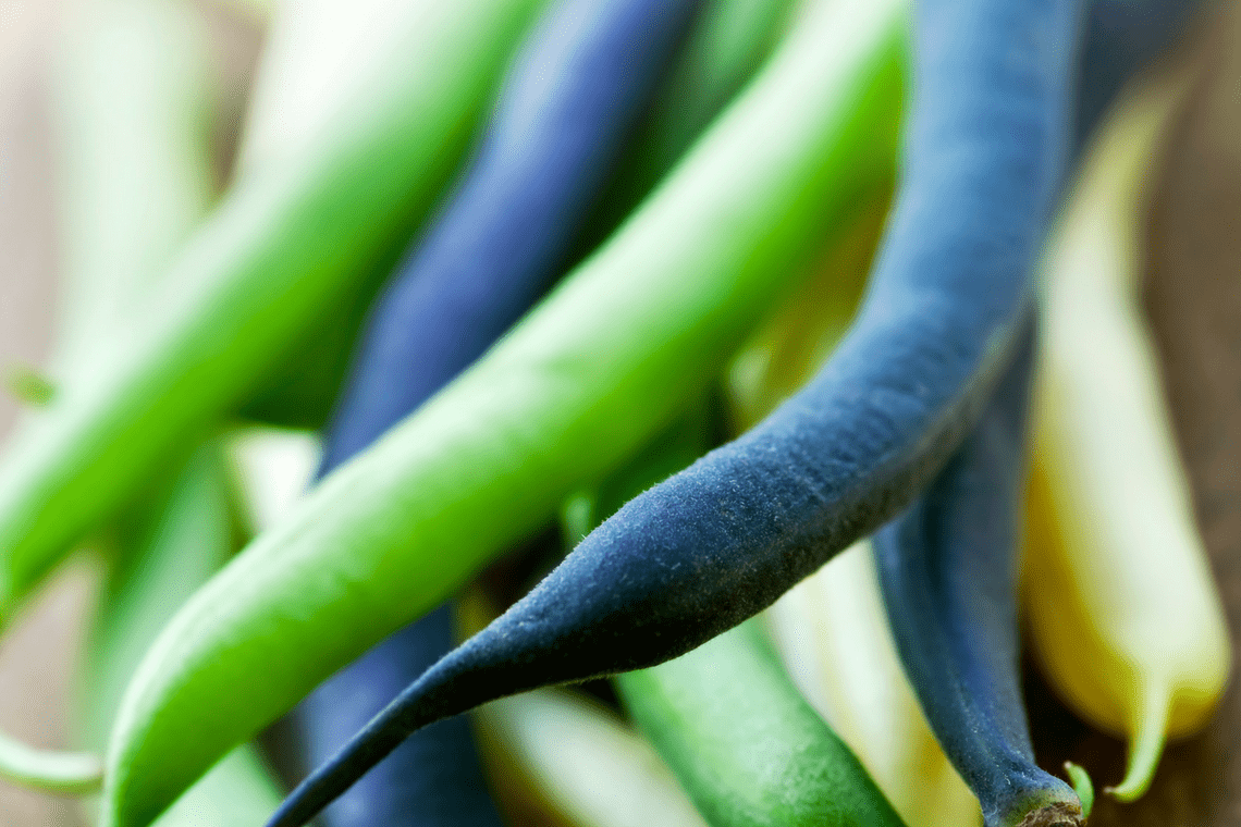 Color Combination Beans on Wood - Canva's Design Wiki