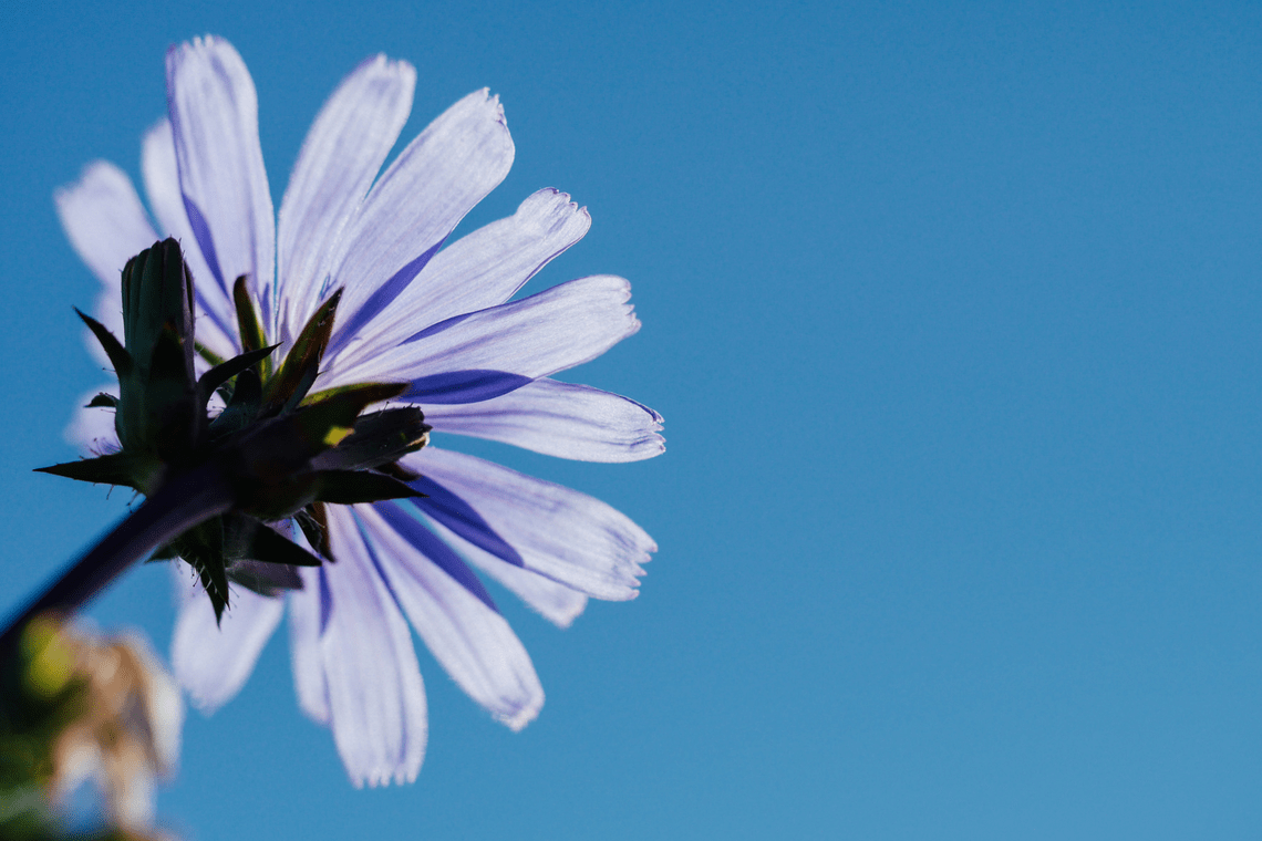 Color Combination Spring Overhead - Canva's Design Wiki