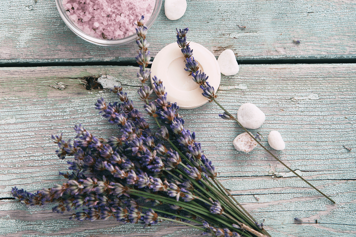 Color Combination Rustic Blush - Canva's Design Wiki