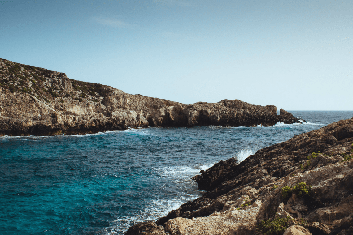 Color Combination Vibrant Tide - Canva's Design Wiki