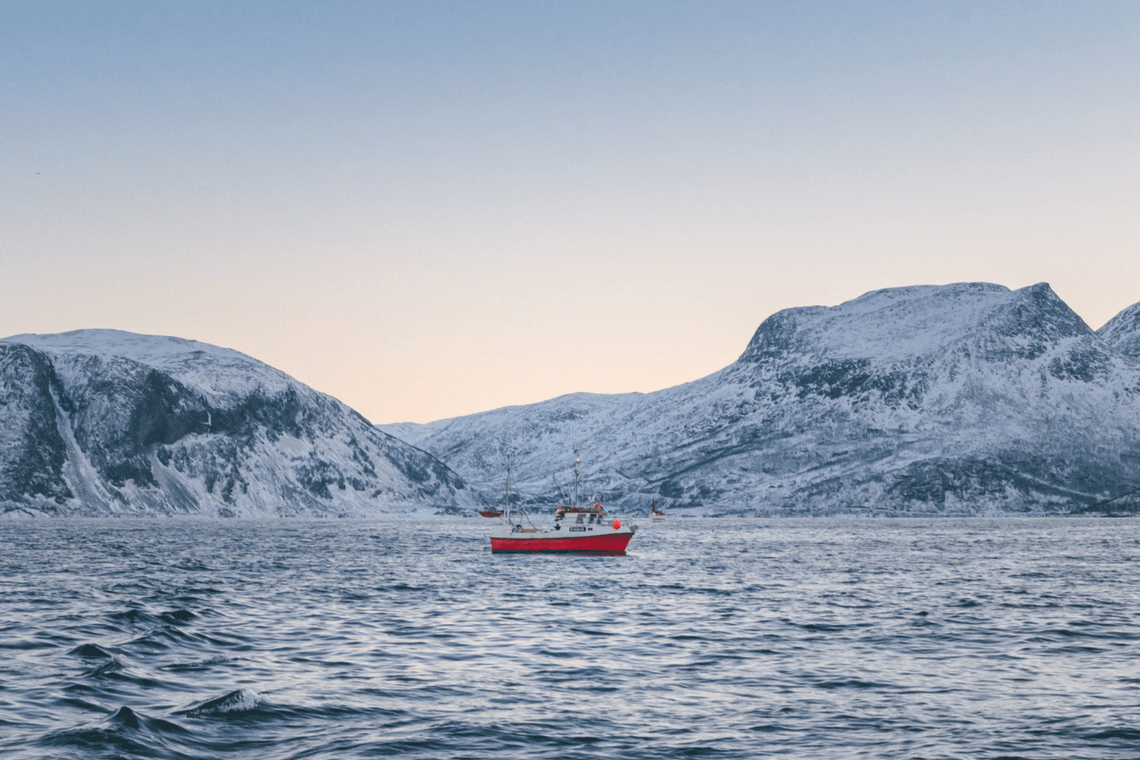 Color Combination Endless Sea - Canva's Design Wiki