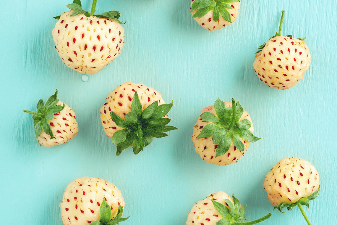 Color Combination White Strawberries - Canva's Design Wiki