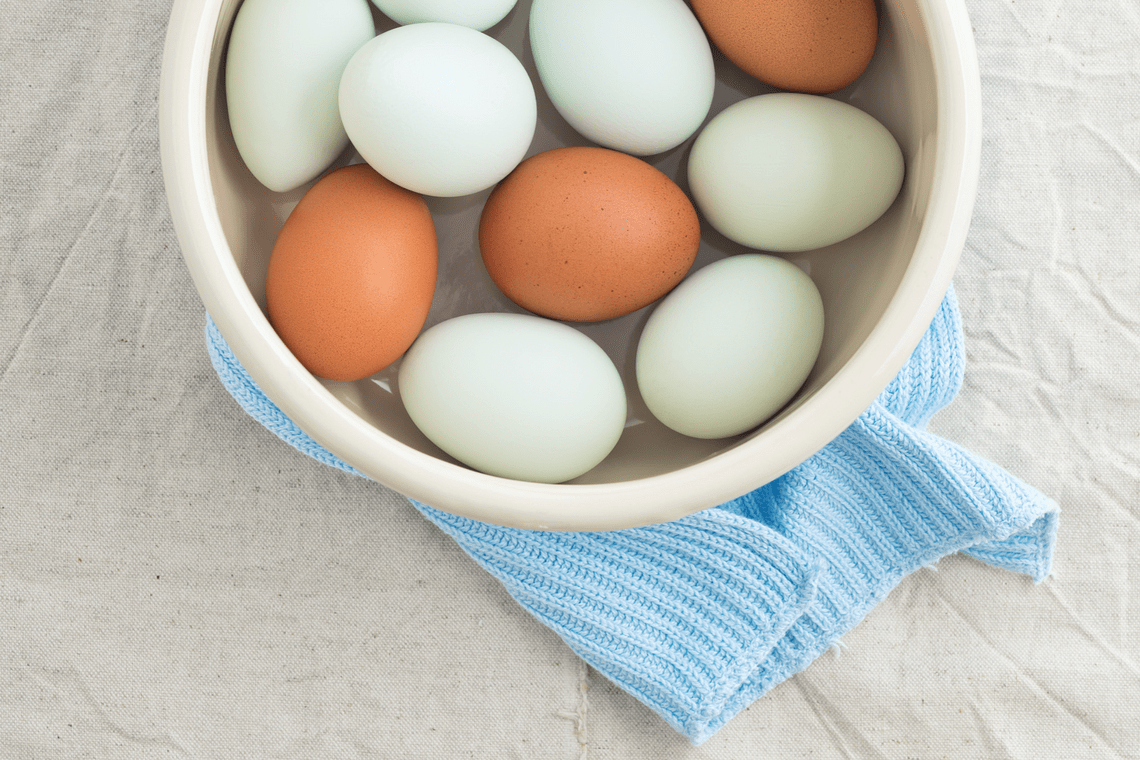 Color Combination Breakfast is Served - Canva's Design Wiki