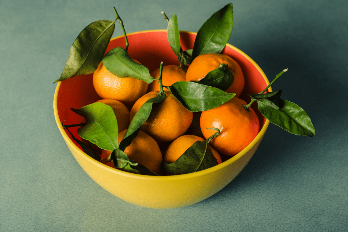 Color Combination Apricot Bunch - Canva's Design Wiki