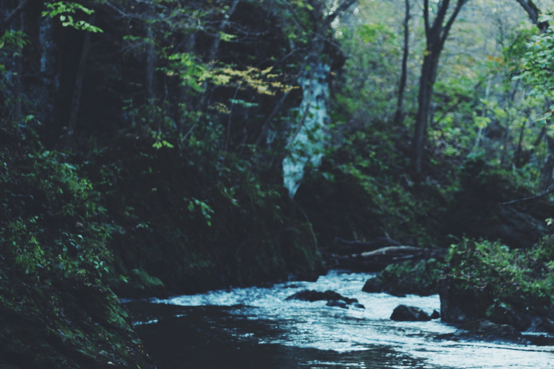 Color Combination Rainforest Cove - Canva's Design Wiki