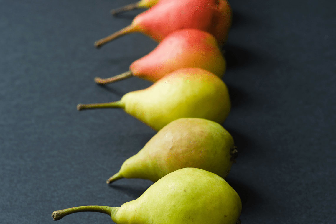 Color Combination Pear Lineup - Canva's Design Wiki