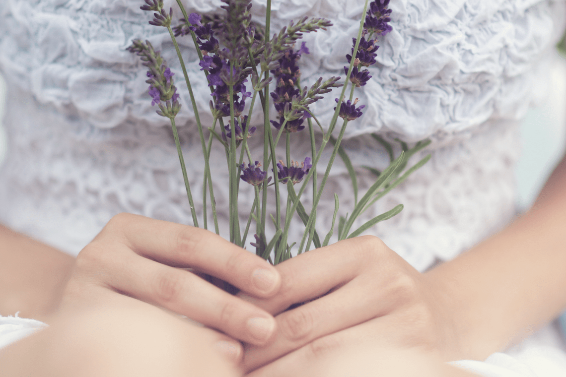 Color Combination Lilac Fresh - Canva's Design Wiki