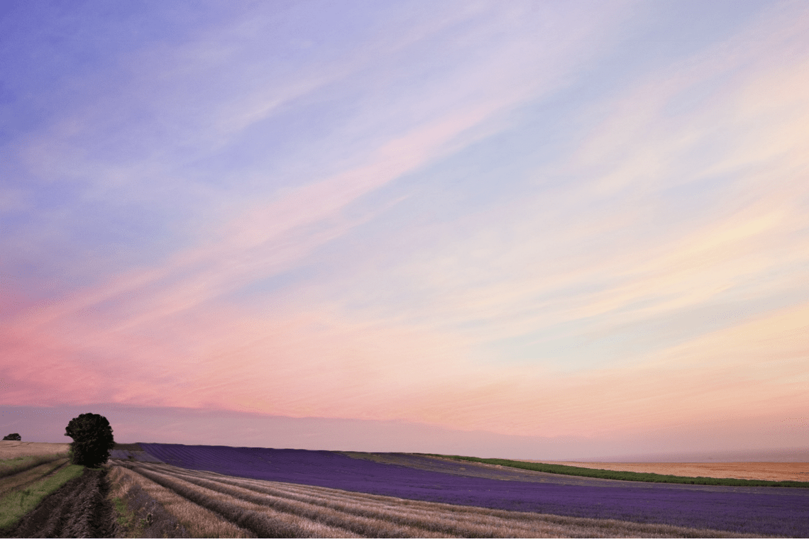 Color Combination Sunset Fields - Canva's Design Wiki