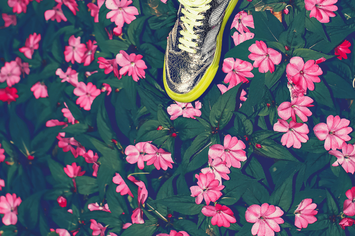 Color Combination Afternoon Frolic - Canva's Design Wiki