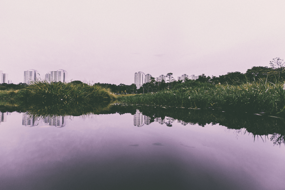 Color Combination Lavender Horizon - Canva's Design Wiki