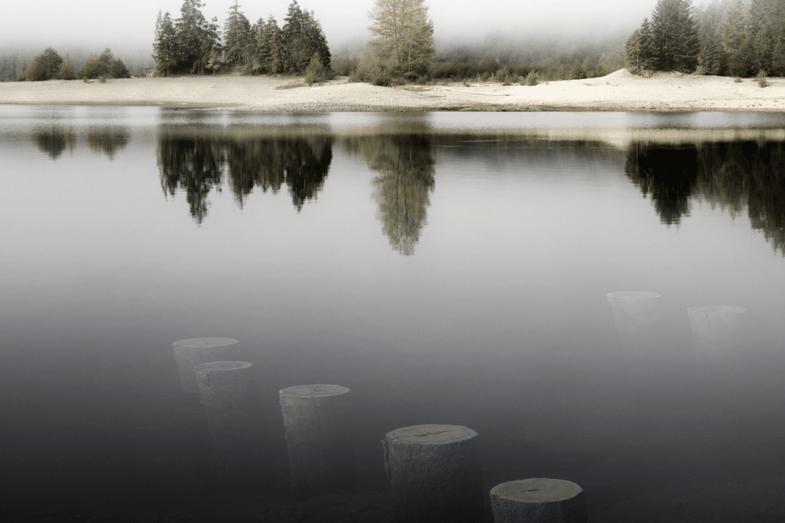 Color Combination Frozen Forest - Canva's Design Wiki