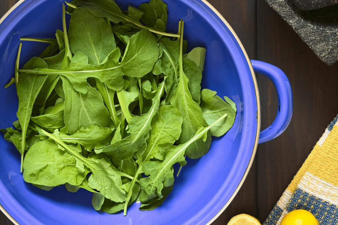 Color Combination Country Kitchen Salad - Canva's Design Wiki