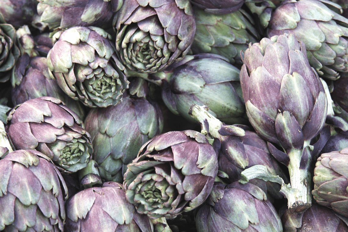 Color Combination Royal Artichoke - Canva's Design Wiki