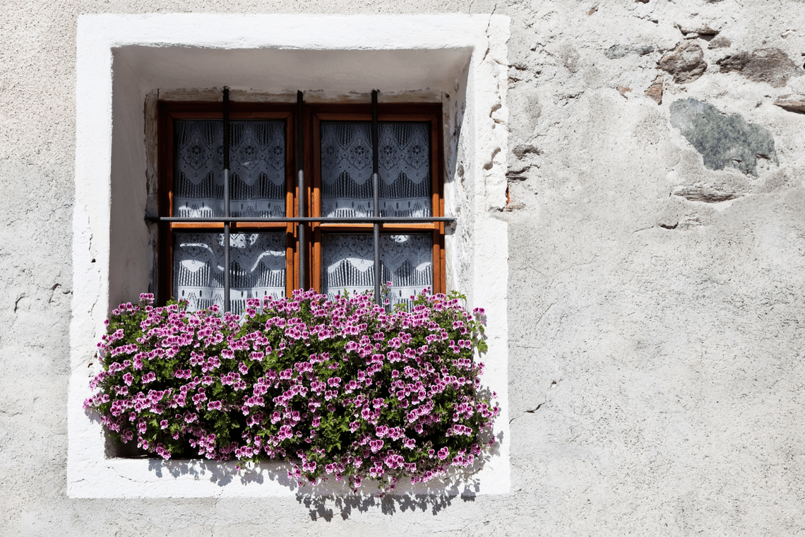 Color Combination By the Window - Canva's Design Wiki