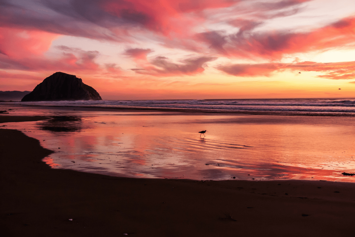 Color Combination Rolling Waves - Canva's Design Wiki