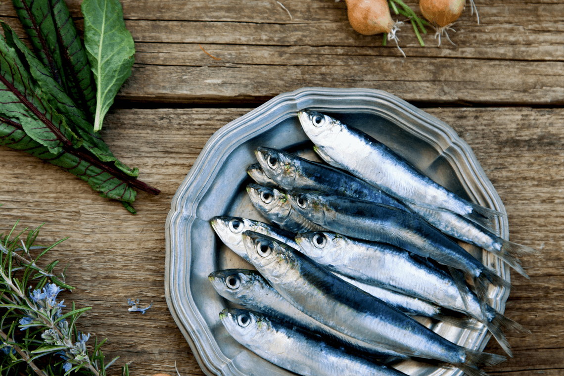 Color Combination Fresh Plate - Canva's Design Wiki